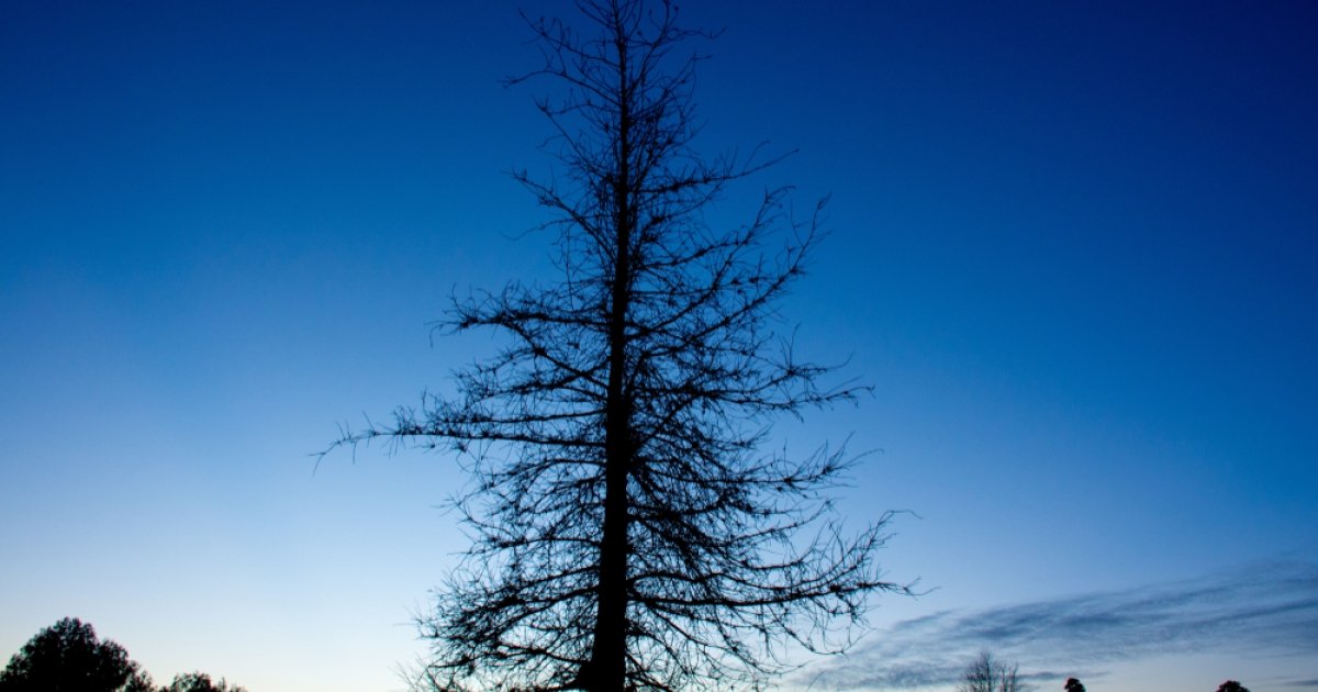 Improving US-EU Relations through Enhanced Resilience | Wilson Center